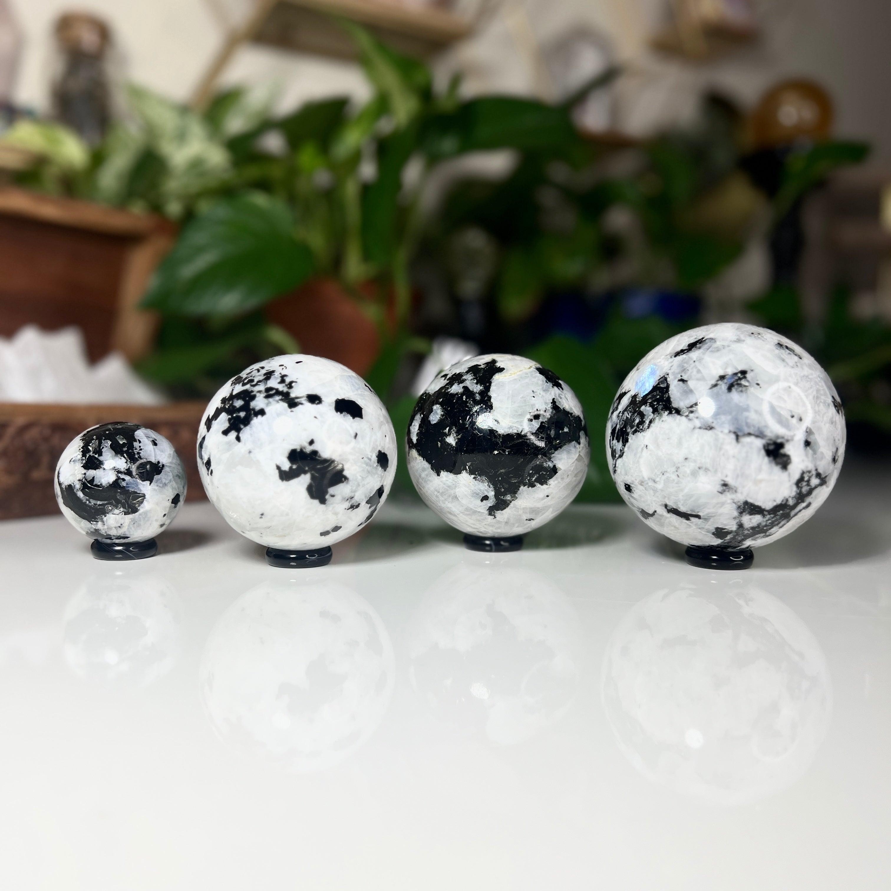 Large Moonstone Spheres – Crunchy Mama's Crystals